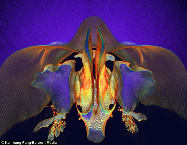 CT Scan Art from human body parts | Amusing Planet